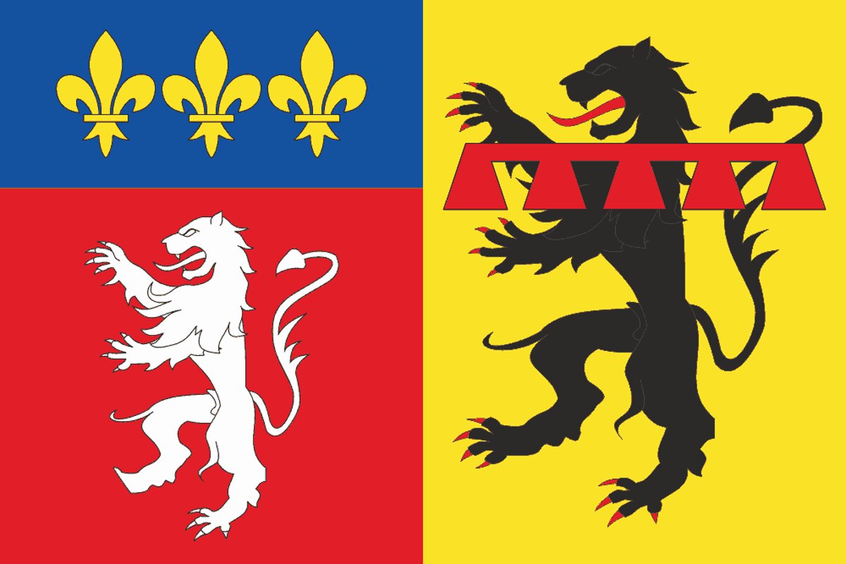 Drapeau Département du Rhône - vente en ligne | Flagsonline.fr